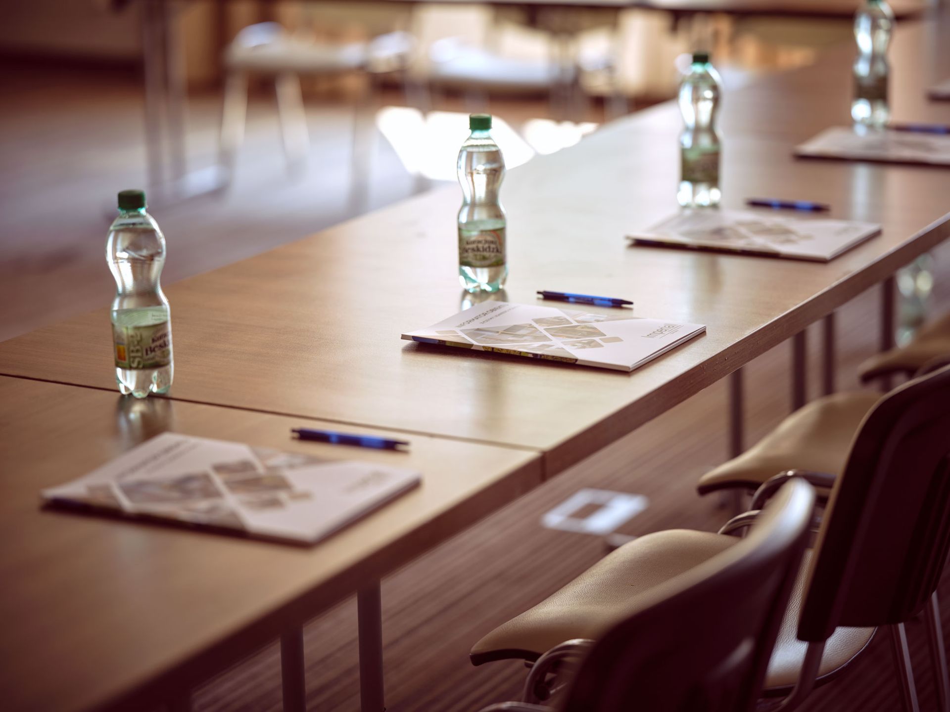 Place for training or conference - Imperiall Resort & Medispa